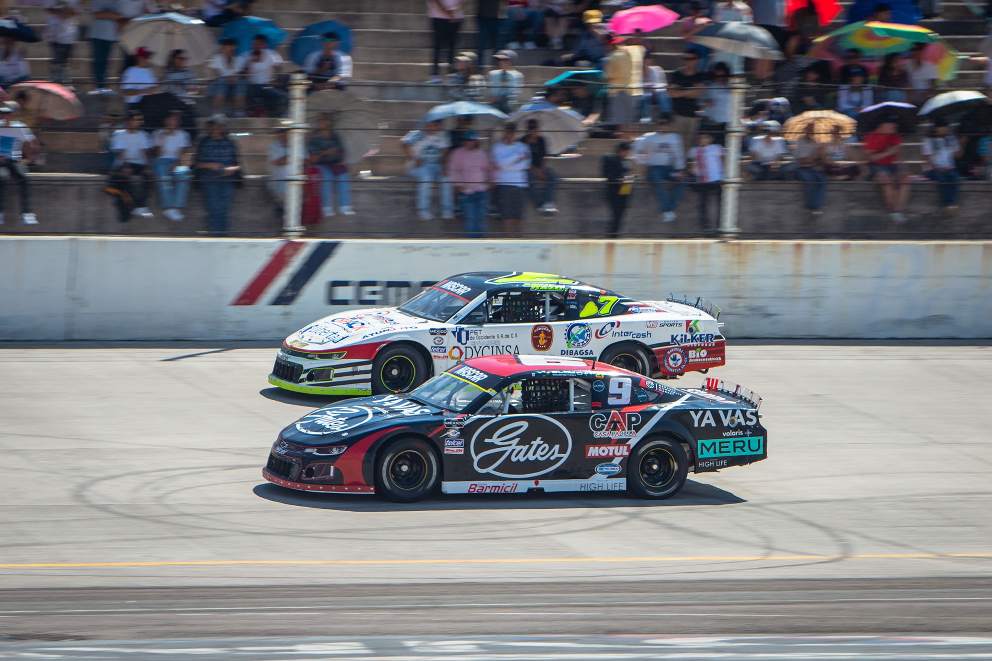 La carrera Aguascalientes el gigante de México, fue Para Salvador de ...